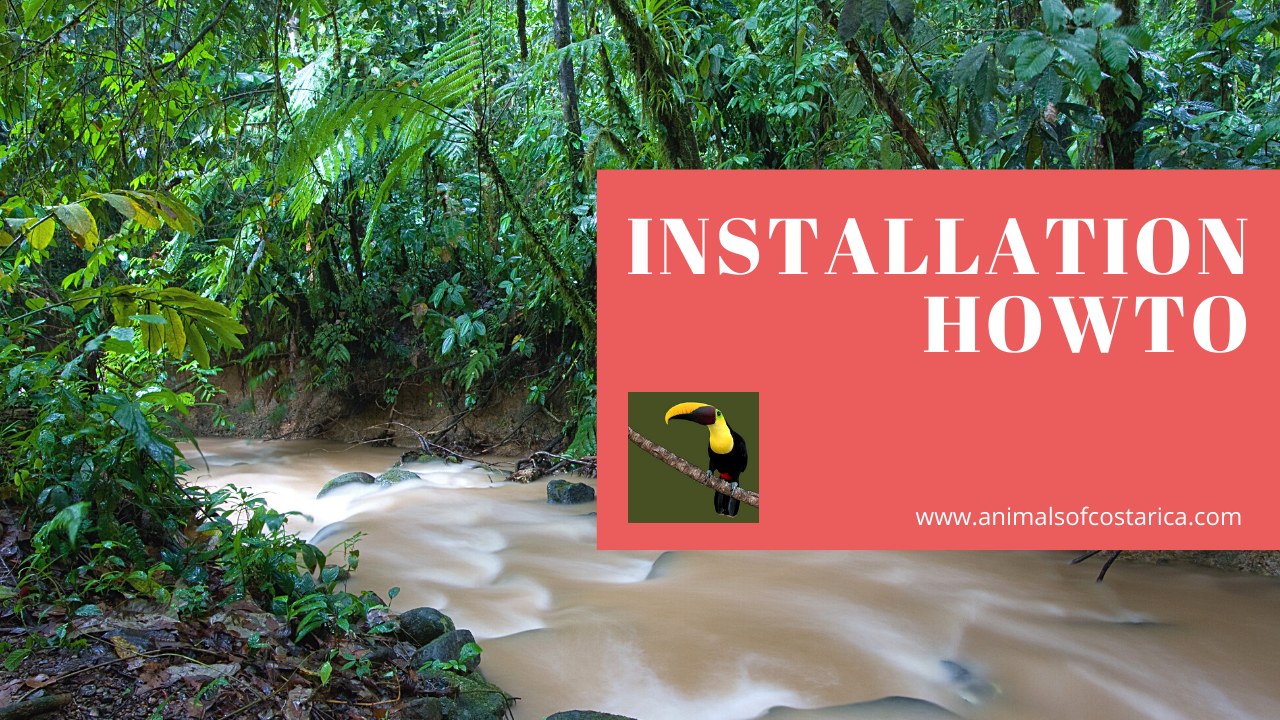 Blog - Animals of Costa Rica